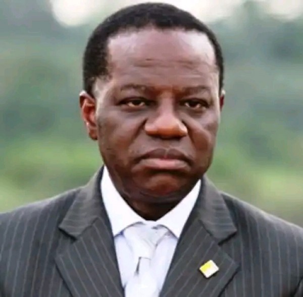 Cameroun : J. Fame Ndongo, "Paul Biya n'est pas un autocrate, c'est un légaliste inébranlable ...