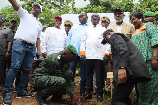 Côte d'Ivoire : Campagne de reforestation à Adaou (Aboisso), un appel ...