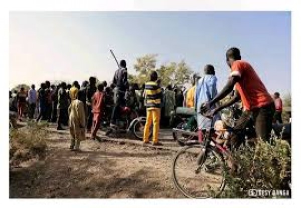 Cameroun : La guerre des éléphants embrase Kalfou - KOACI