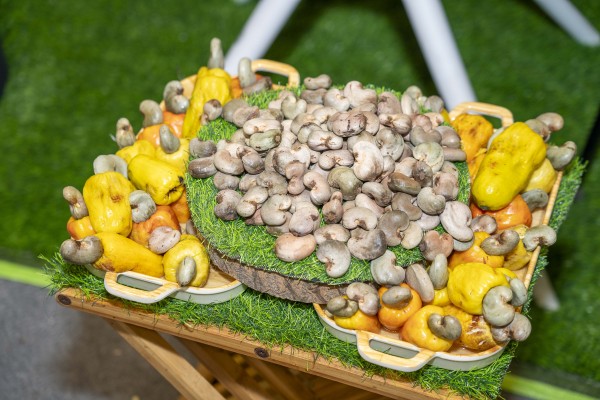 Côte d'Ivoire : Le DG du Conseil coton-anacarde, annonce l'opération d ...