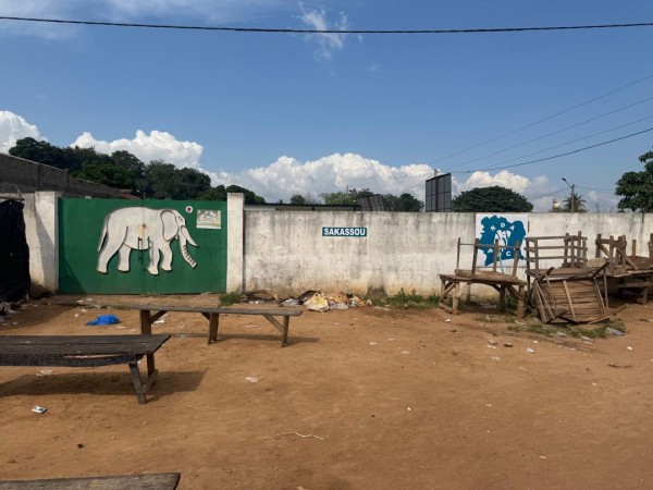 Côte d'Ivoire : Le Conseil Constitutionnel interpellé sur la ...